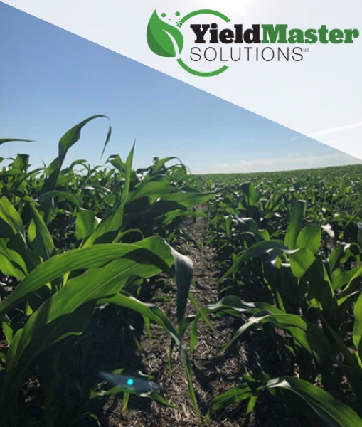 Yield Master Solutions Test Plot Results Demonstrate Benefits Of Envita ...